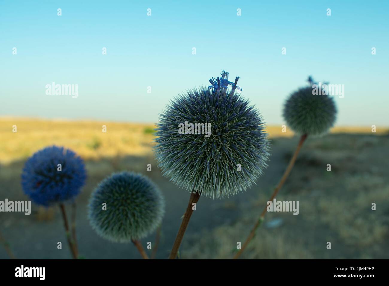 Special rays hi-res stock photography and images - Alamy