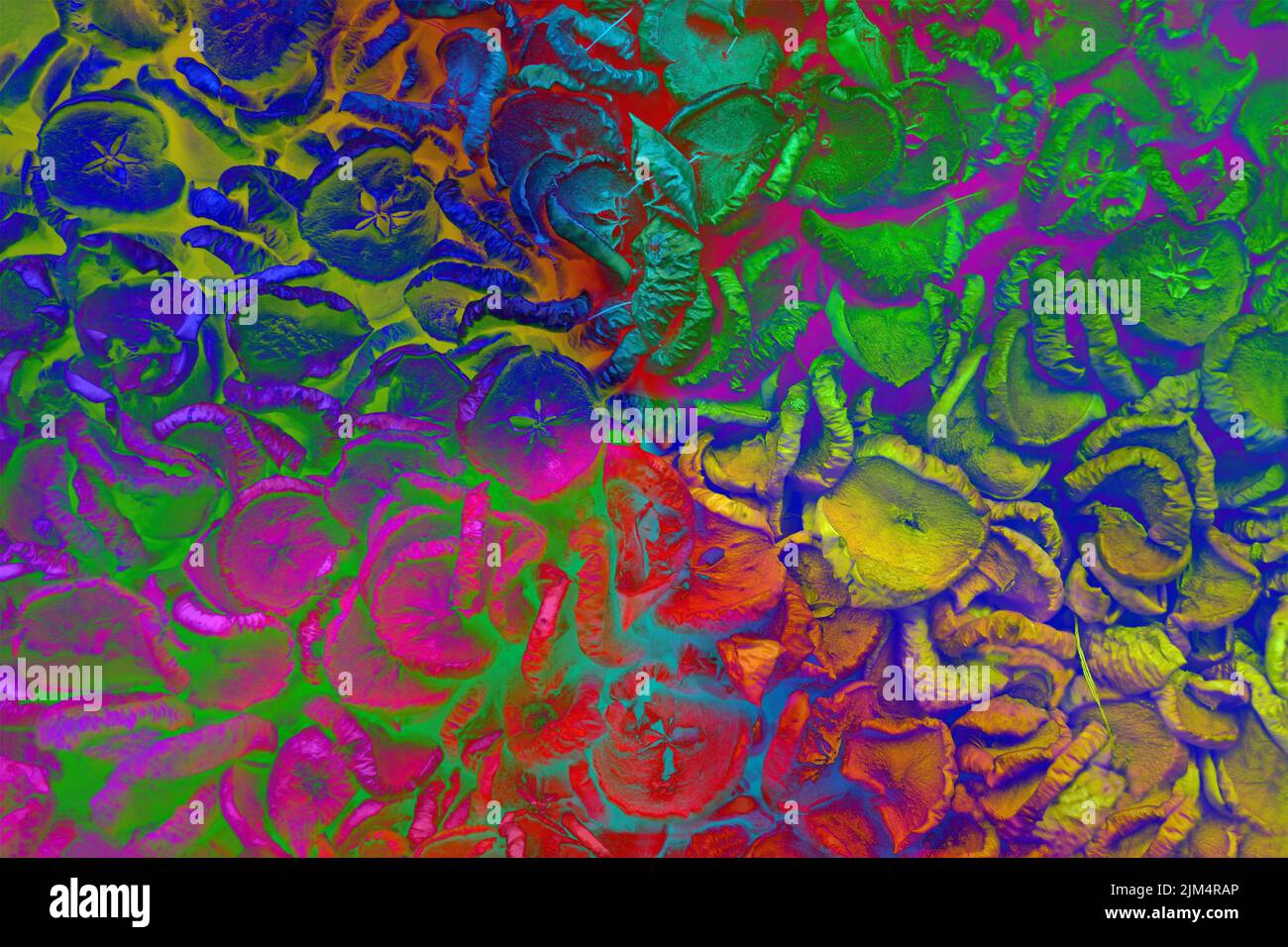 abstract rainbow apple pieces pile background, disco colors diversity ...