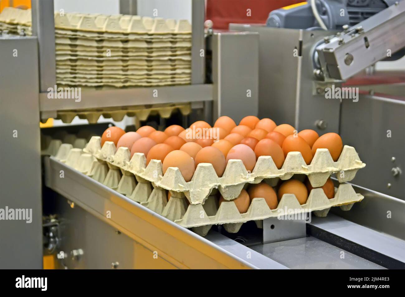 brown egg tray with chicken eggs in cardboard container on the conveyor ...