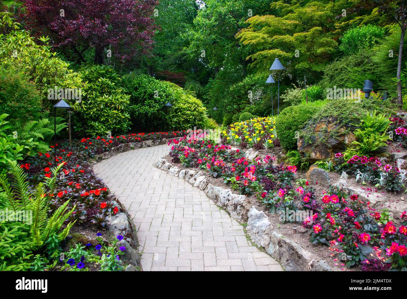 Beautiful pathway through a colorful and flower-filled garden ...