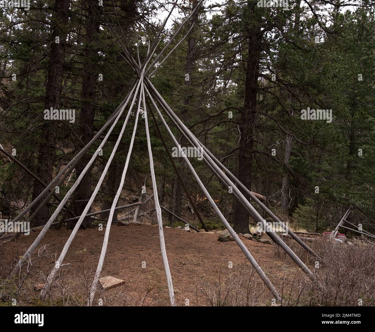 A beautiful shot of the sticks connected together to build a camp in ...