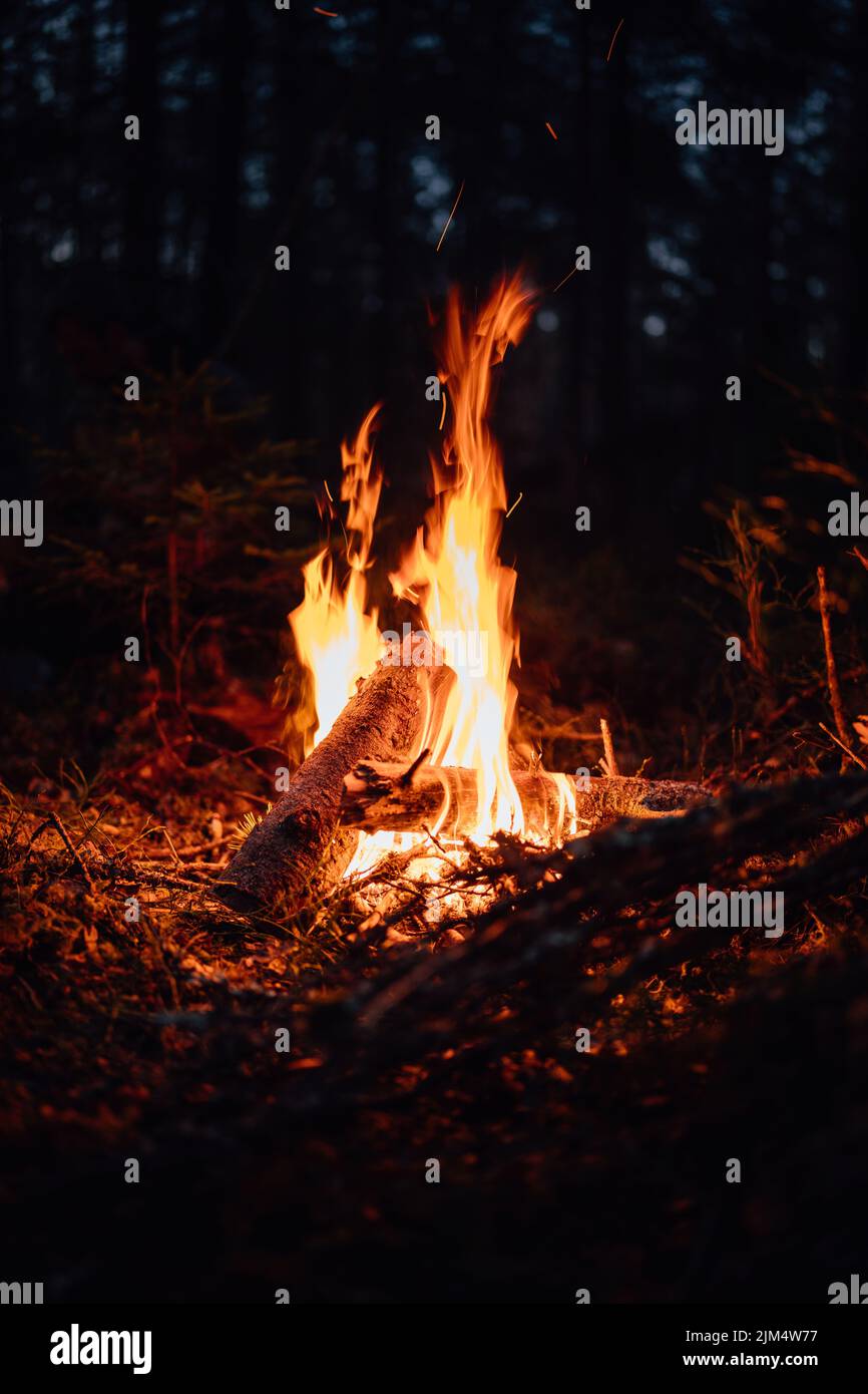 A vertical shot of bonfire in the woods Stock Photo - Alamy