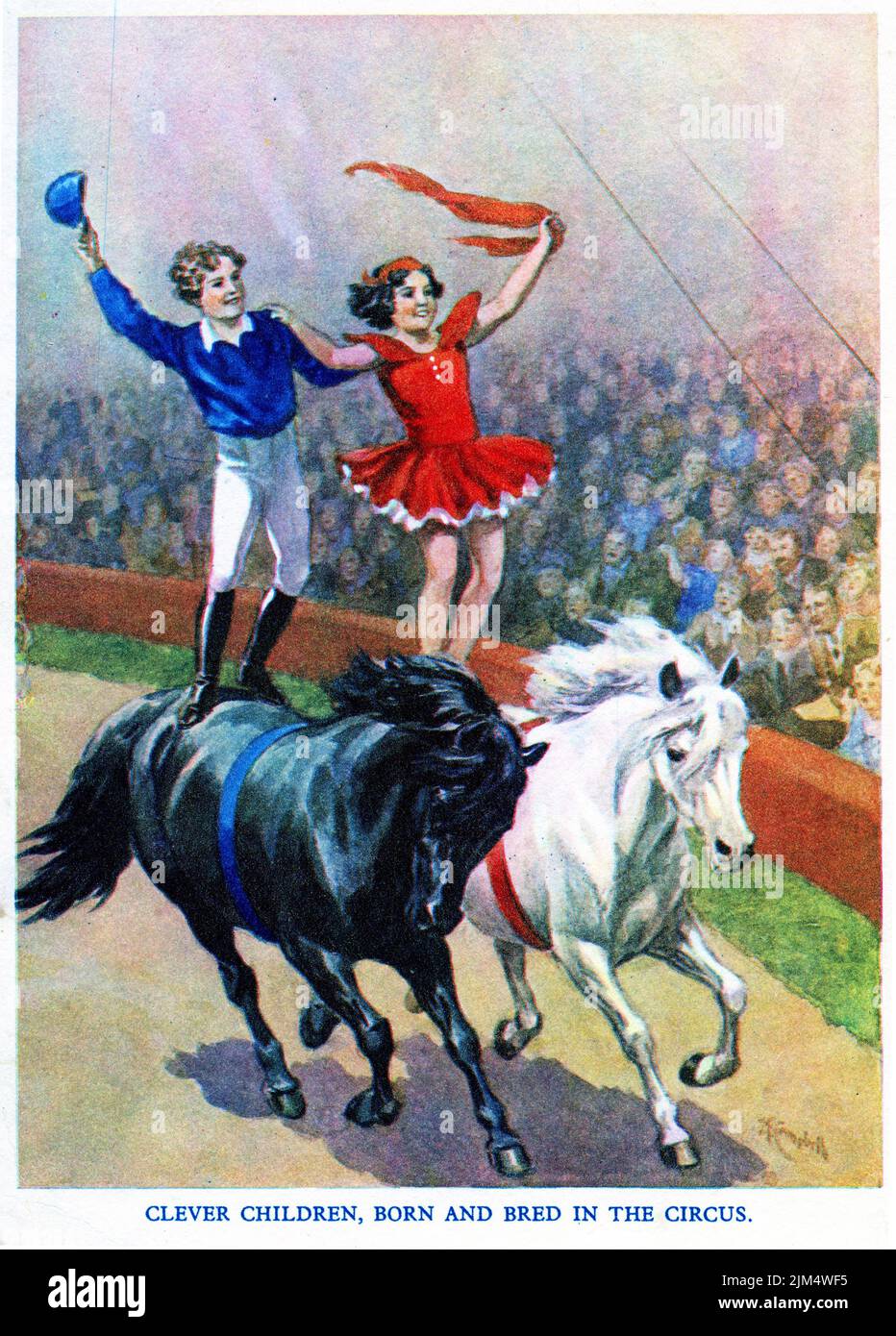 Trick horse hi-res stock photography and images - Alamy