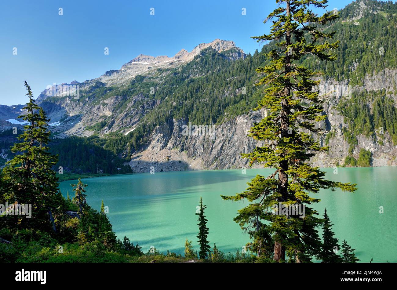 A mesmerizing view of a calm lake surrounded by green vegetation with ...