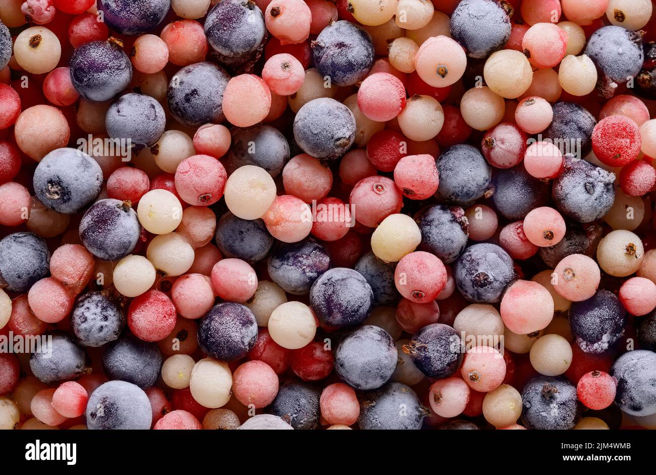 Frozen currants mix background. Top view currant varieties Stock Photo ...