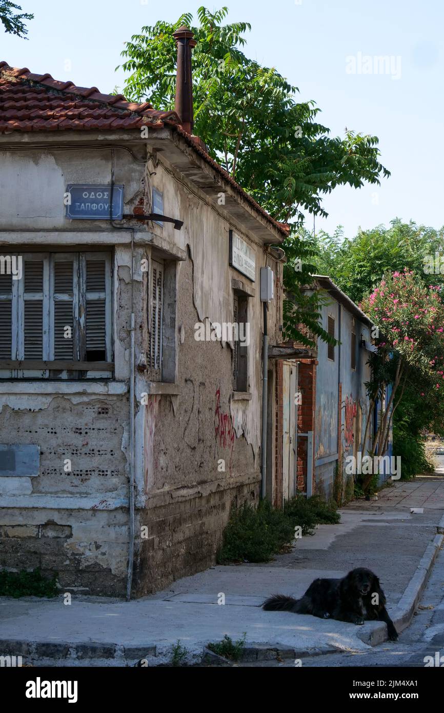 Palea sfagia hi-res stock photography and images - Alamy