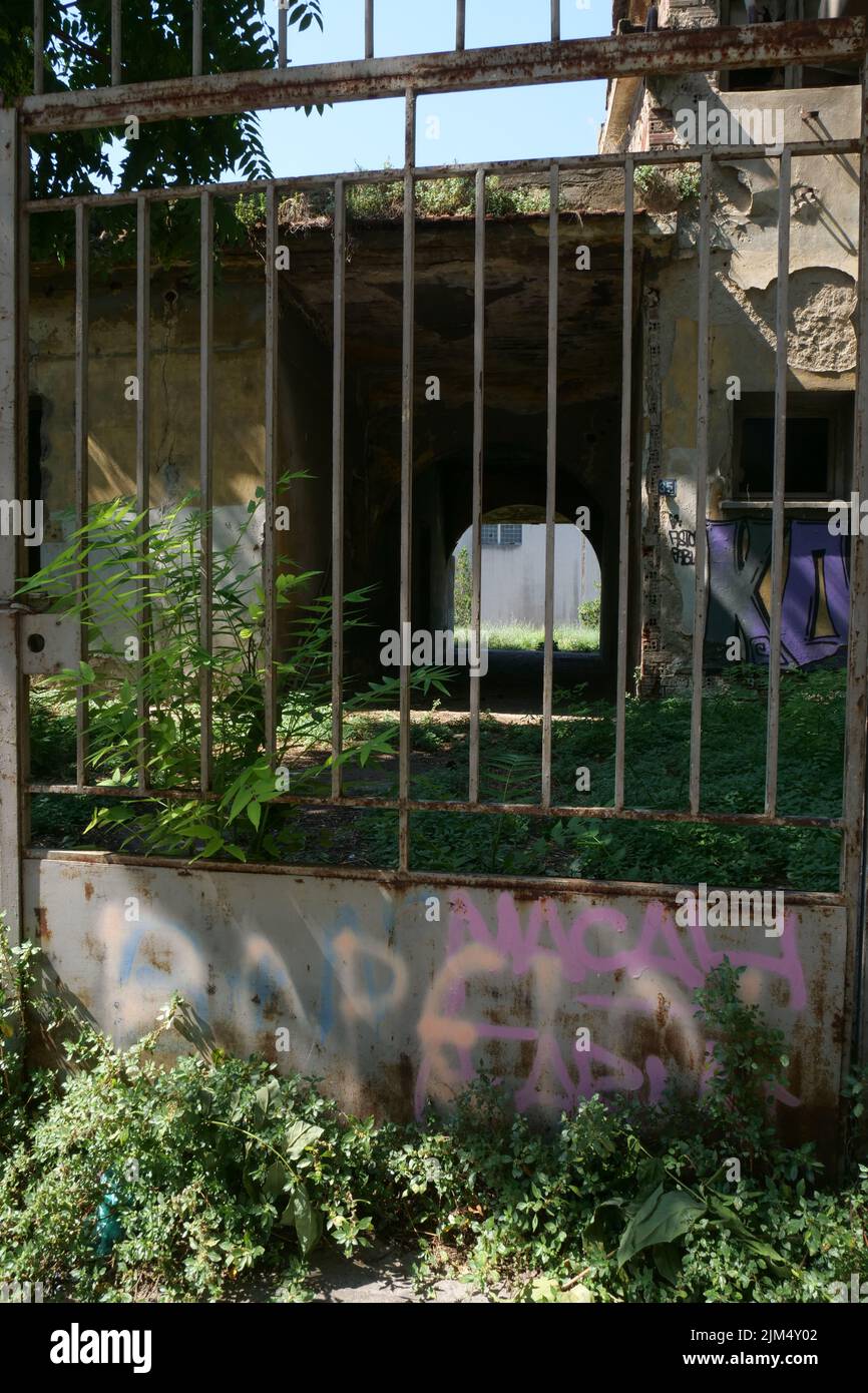 Paléa sfagia hi-res stock photography and images - Alamy