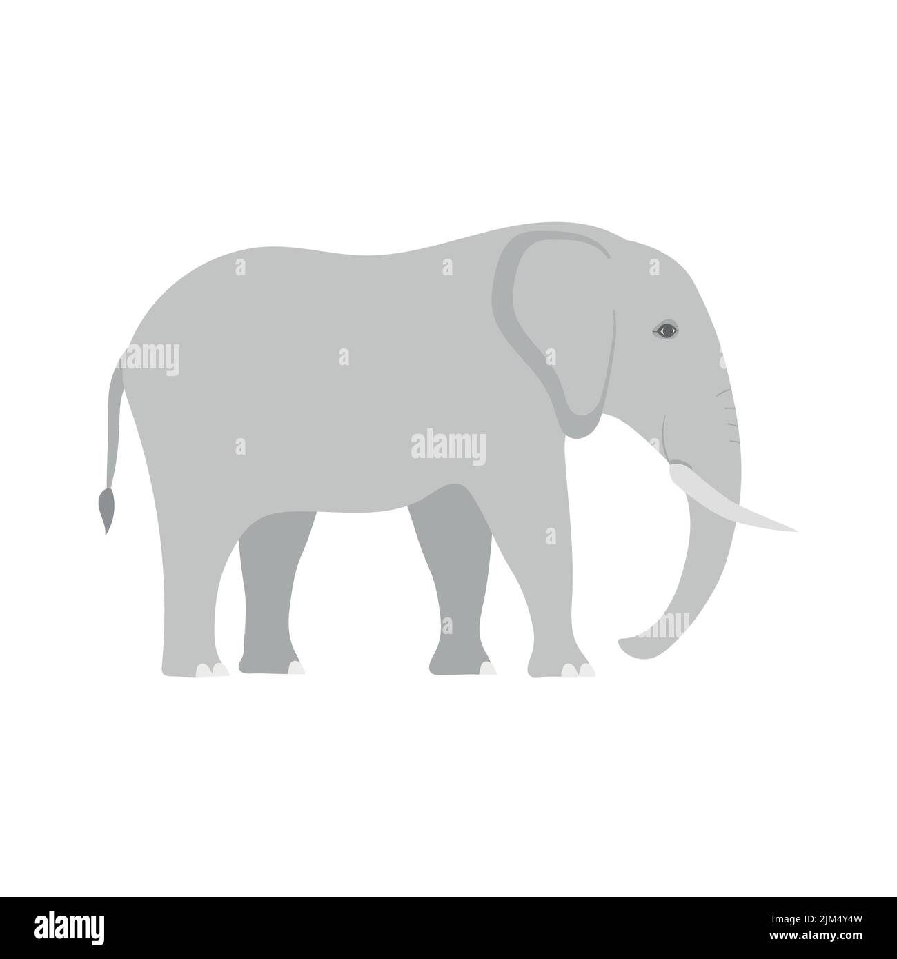 Vector flat hand drawn elephant isolated on white background Stock ...