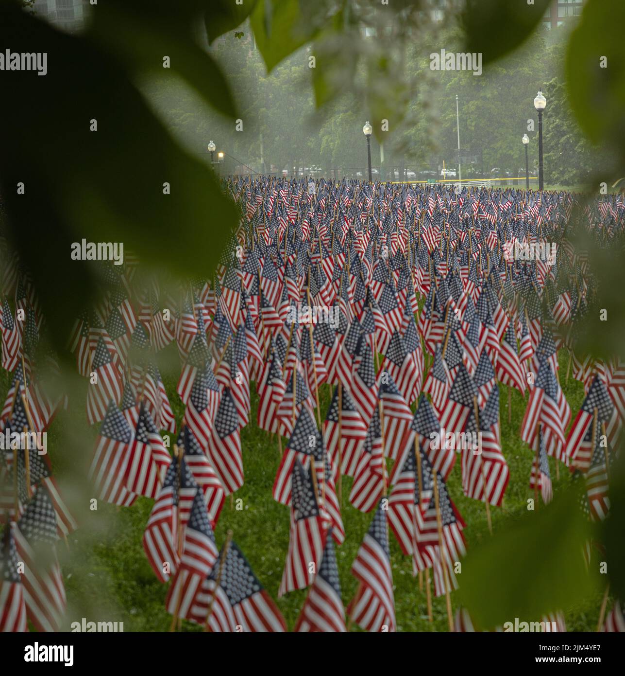 A beautiful view of american flags placed in remembrance of fallen ...