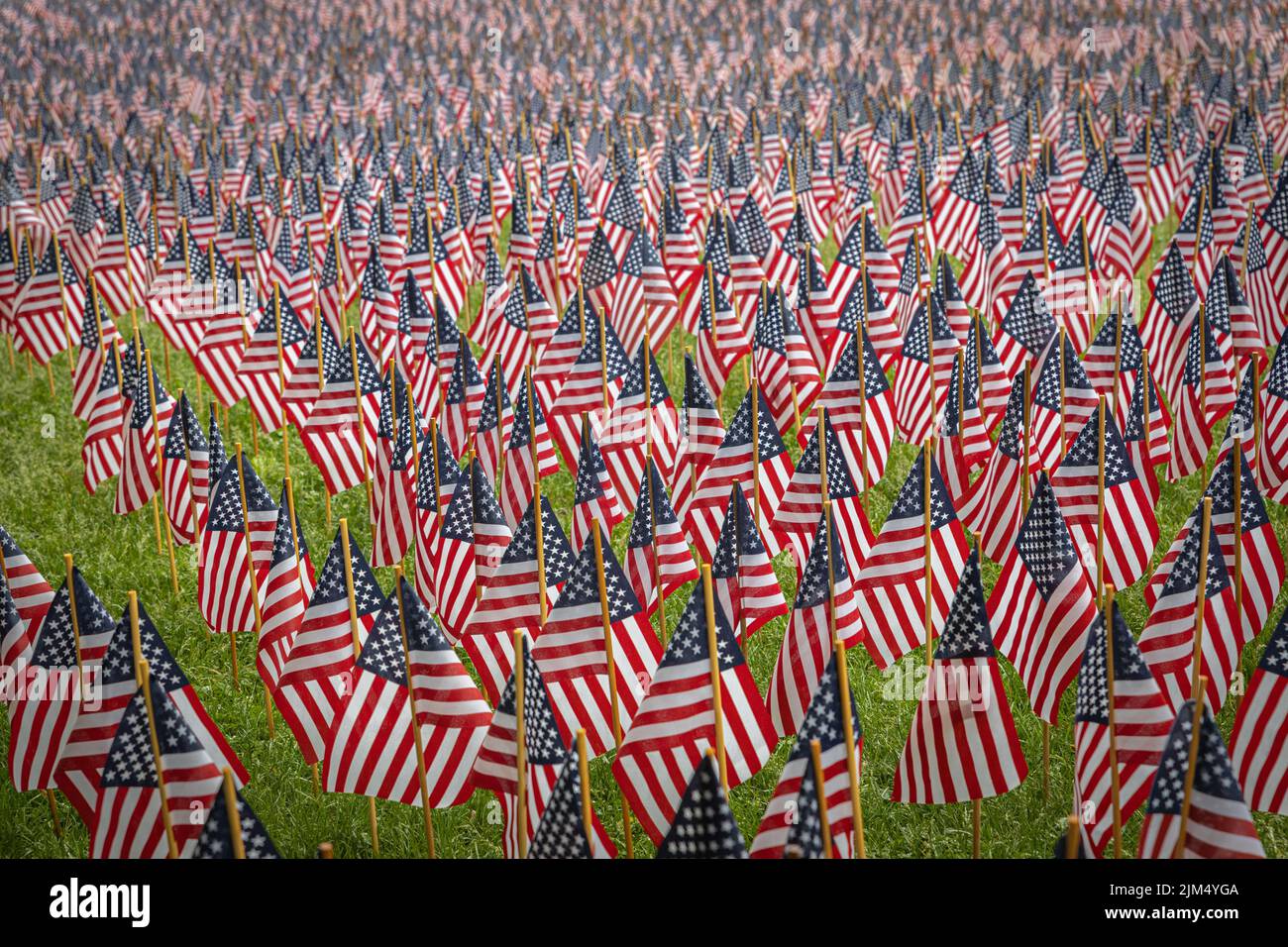 A beautiful view of american flags placed in remembrance of fallen ...