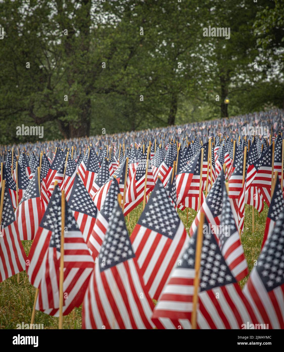A beautiful view of american flags placed in remembrance of fallen ...