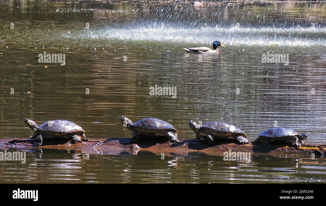 Expanding nozzle hi-res stock photography and images - Alamy