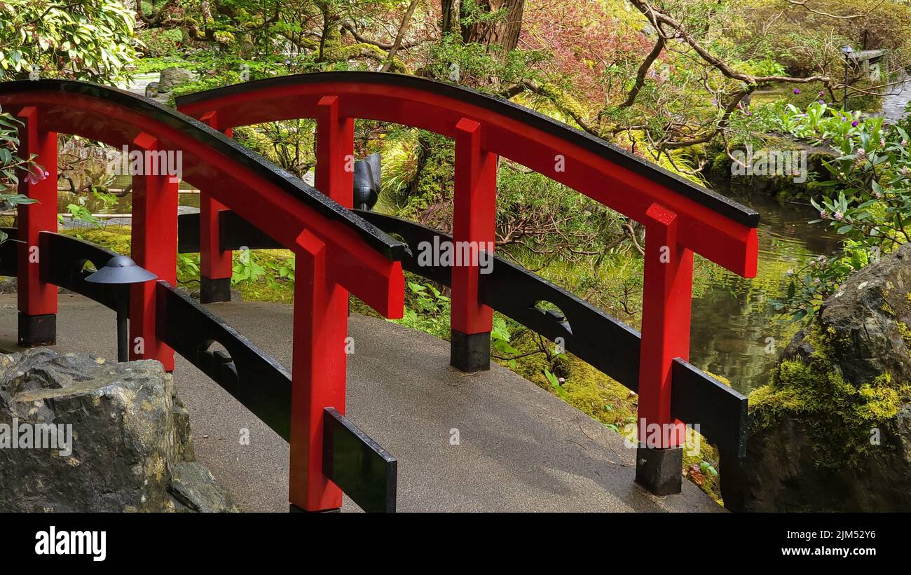 A closeup shot of the red wooden arch bridge at the Japanese garden ...