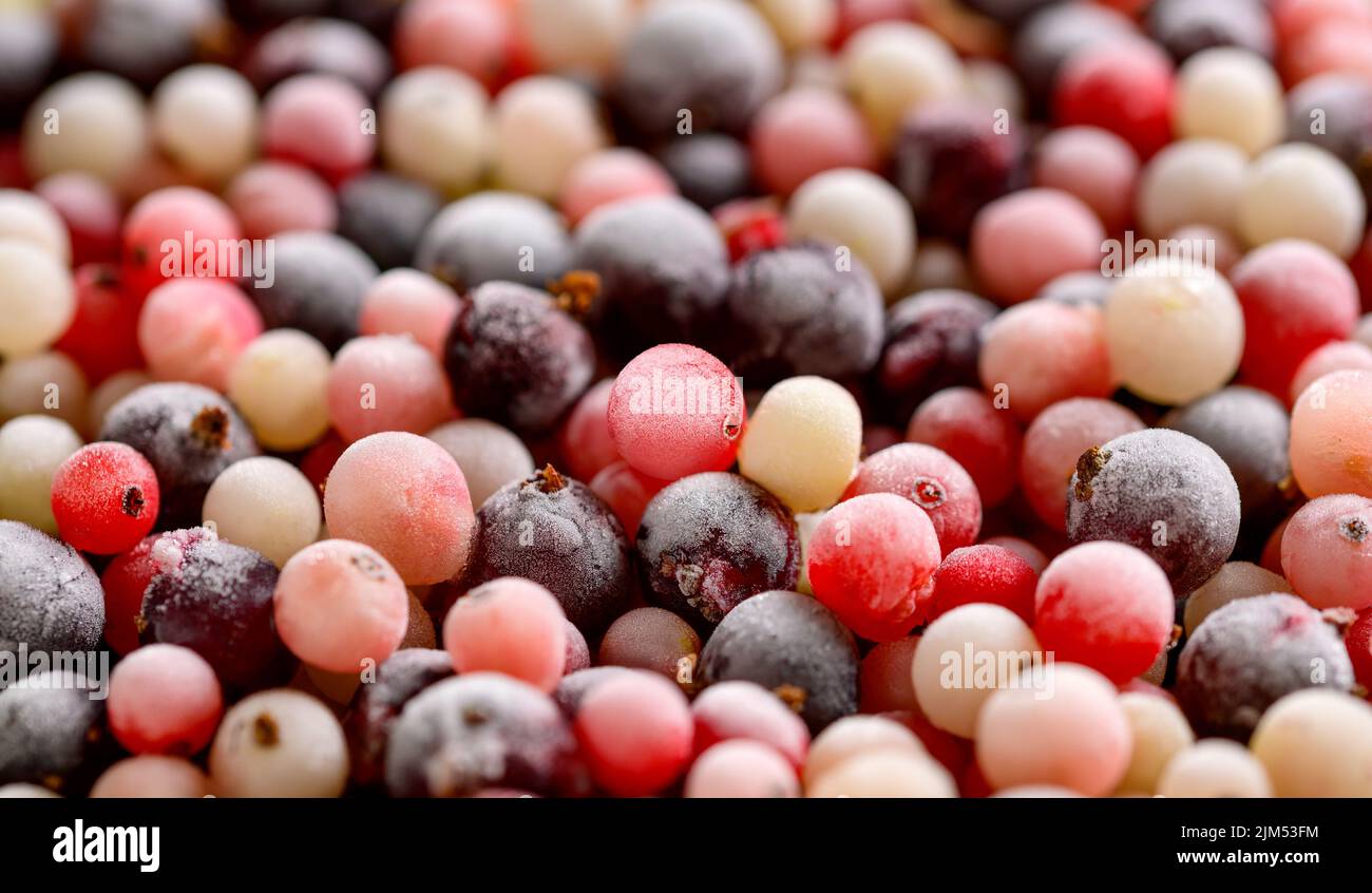 Frozen berries of varieties currants background. Close-up Stock Photo ...