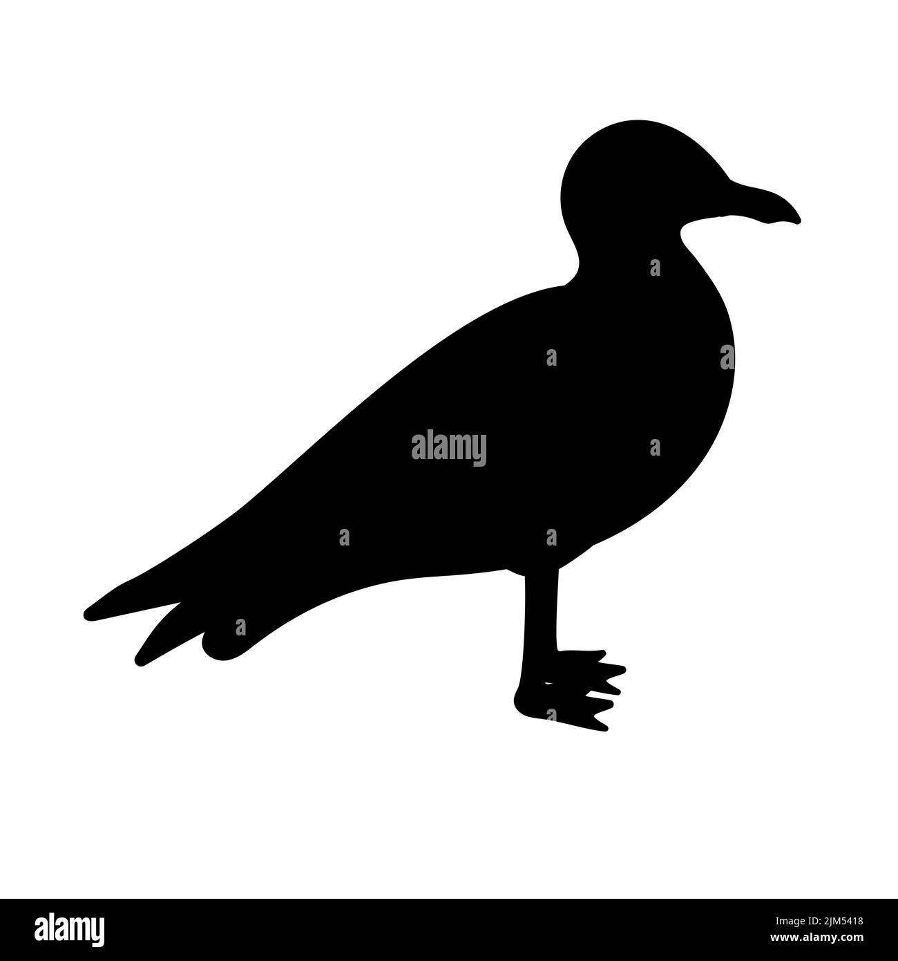 Vector hand drawn flat seagull silhouette isolated on white background ...