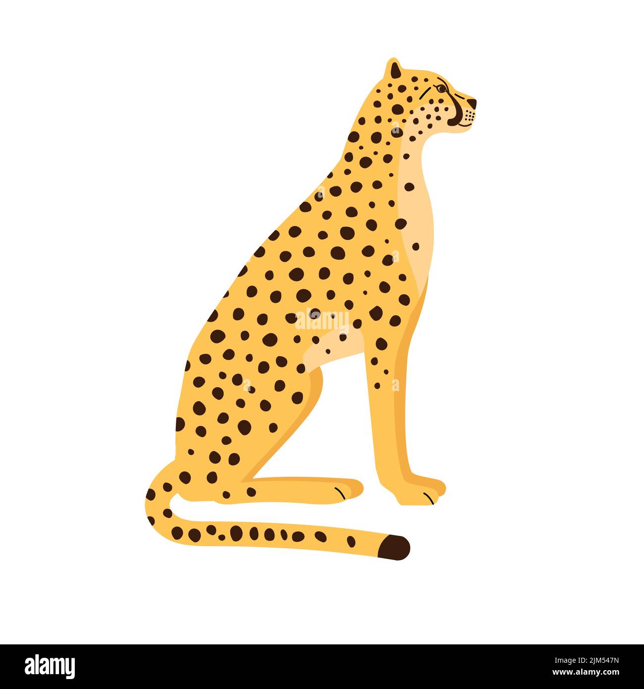 Vector hand drawn flat sitting cheetah isolated on white background ...