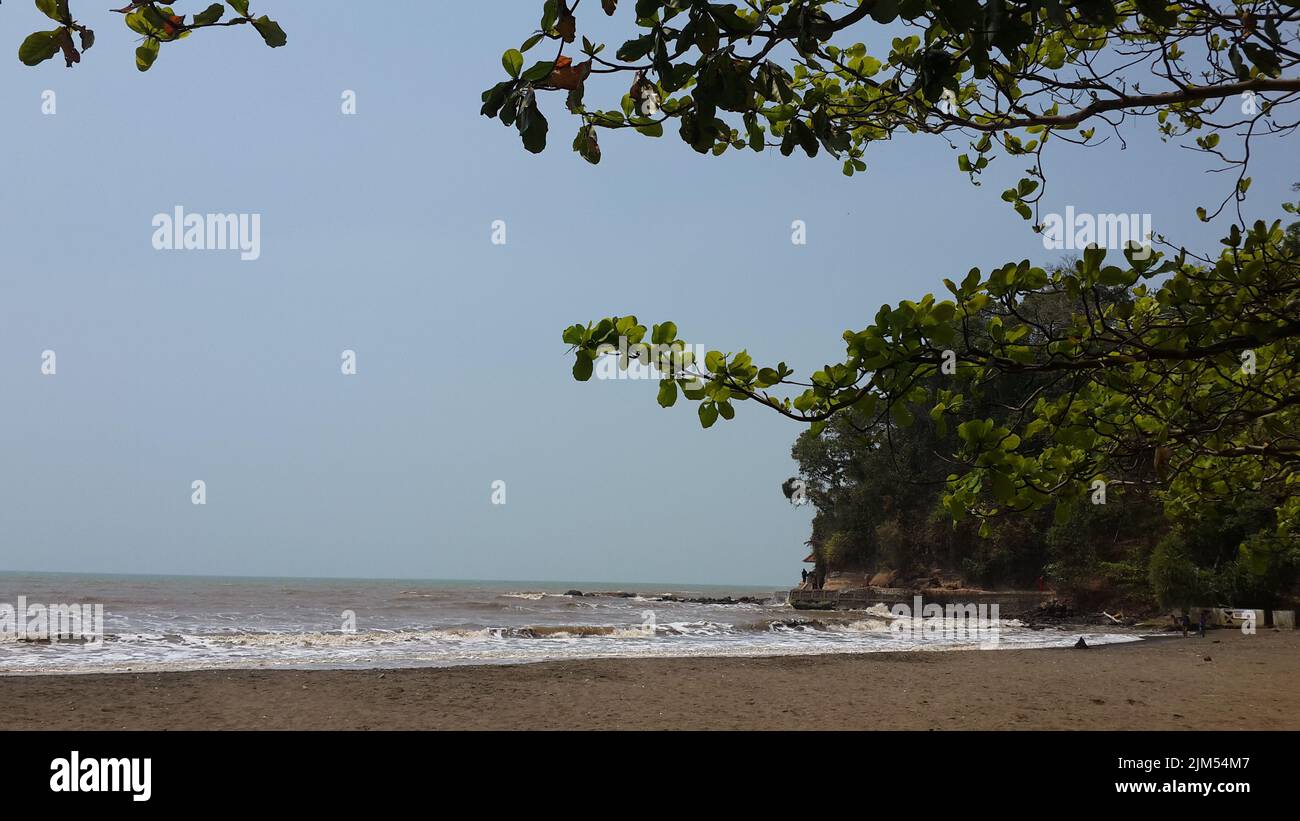 The tree branches at the Deering bay Stock Photo - Alamy