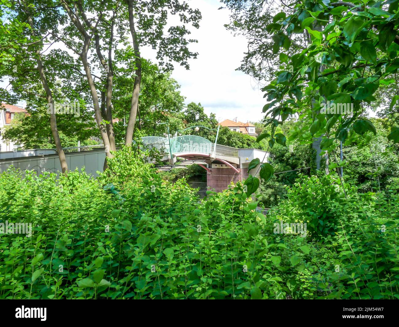 A scenic view of lush nature and vegetation in a park in Prague, Czech ...