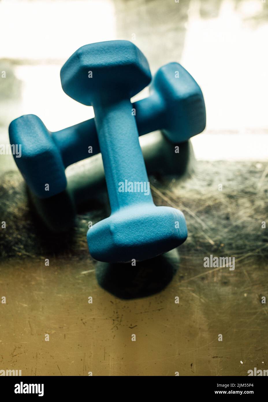 two five pound light blue hand weights on reflective golden surface ...