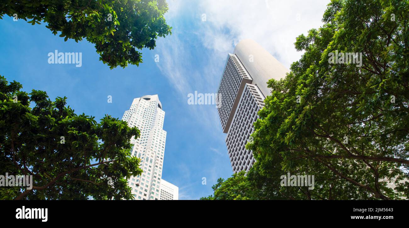 Fresh green trees and urban buildings. perspective exterior pattern ...