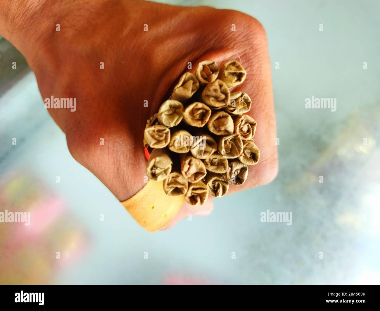 A Hand holding group of beedi. Beedi is a smoking product in India ...