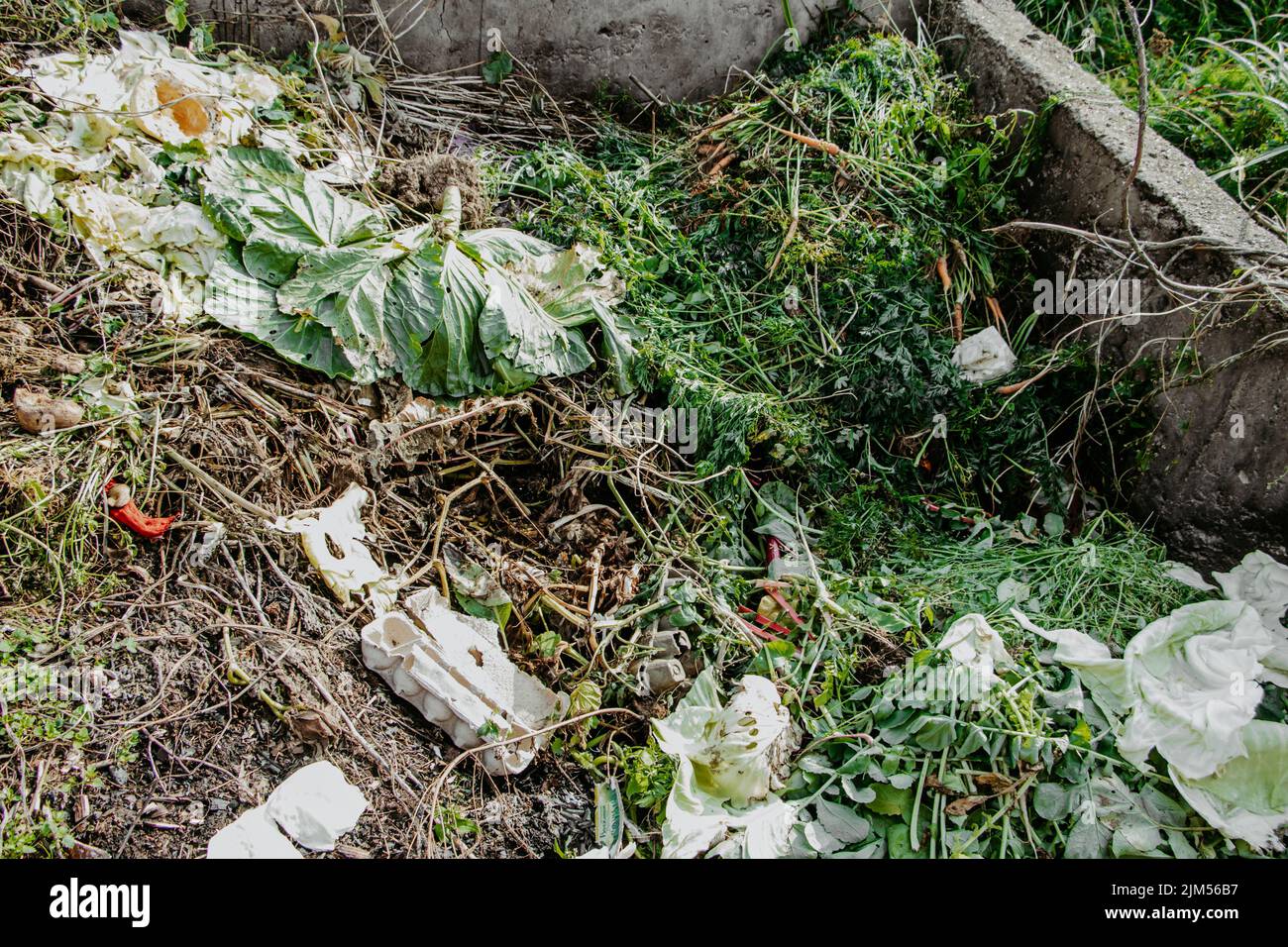 Compost pit for food waste. Eco-friendly consumption, recycling ...
