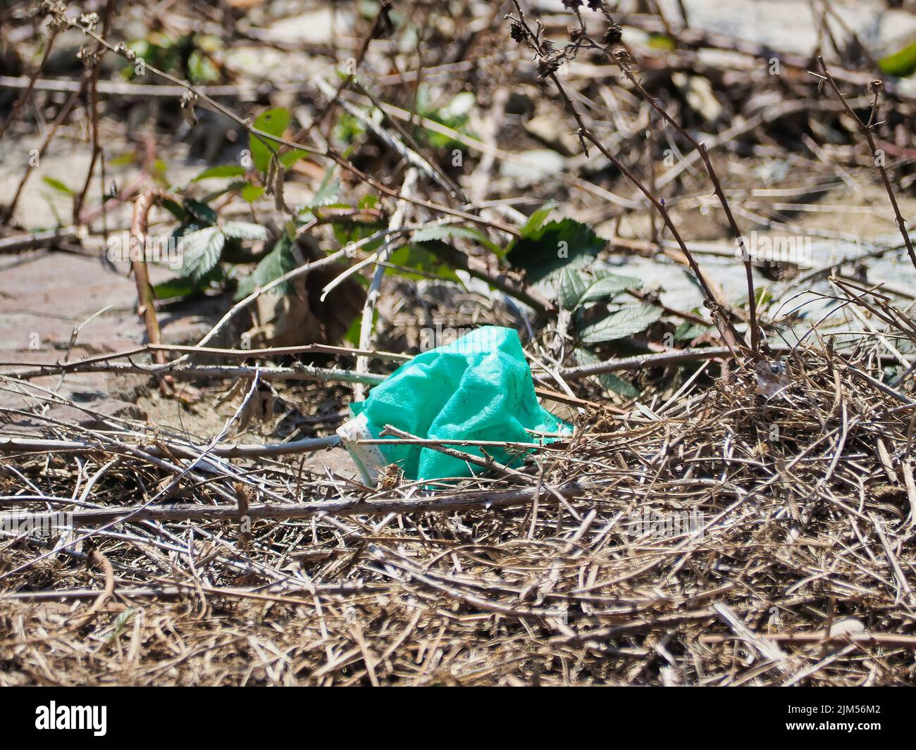 A green mask fallen on ground with broken branches and old trees leaves ...