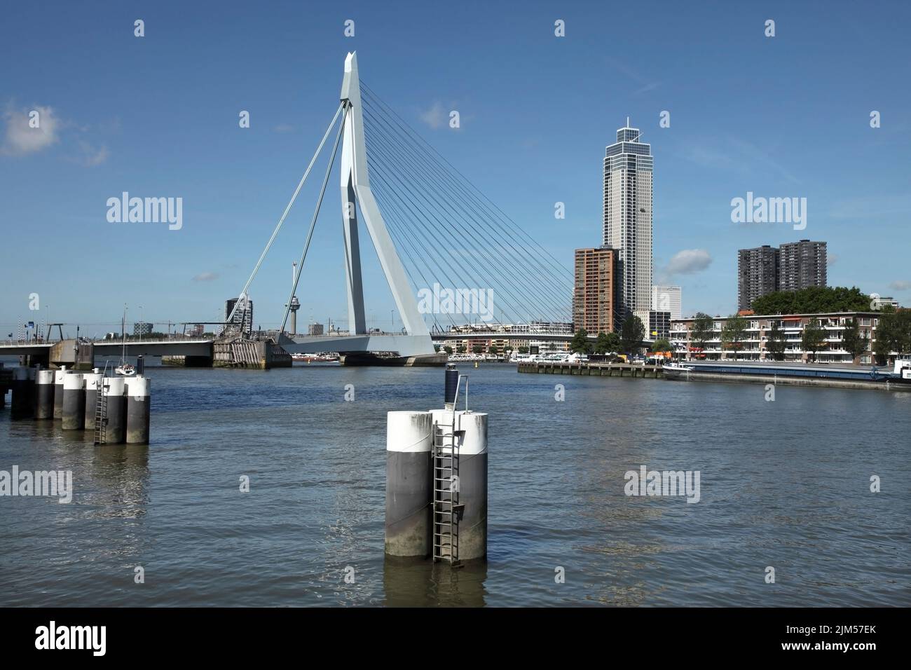 The Erasmusbrug or Erasmus Bridge (1996) and de Zalmhaven, Rotterdam ...