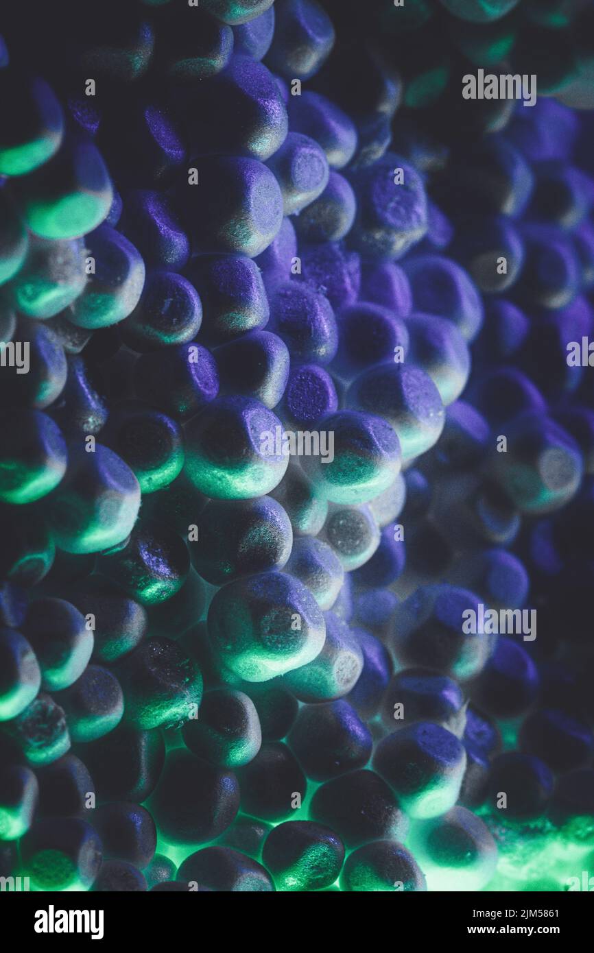 A macro shot of the details of a green and blue Styro foam Stock Photo ...