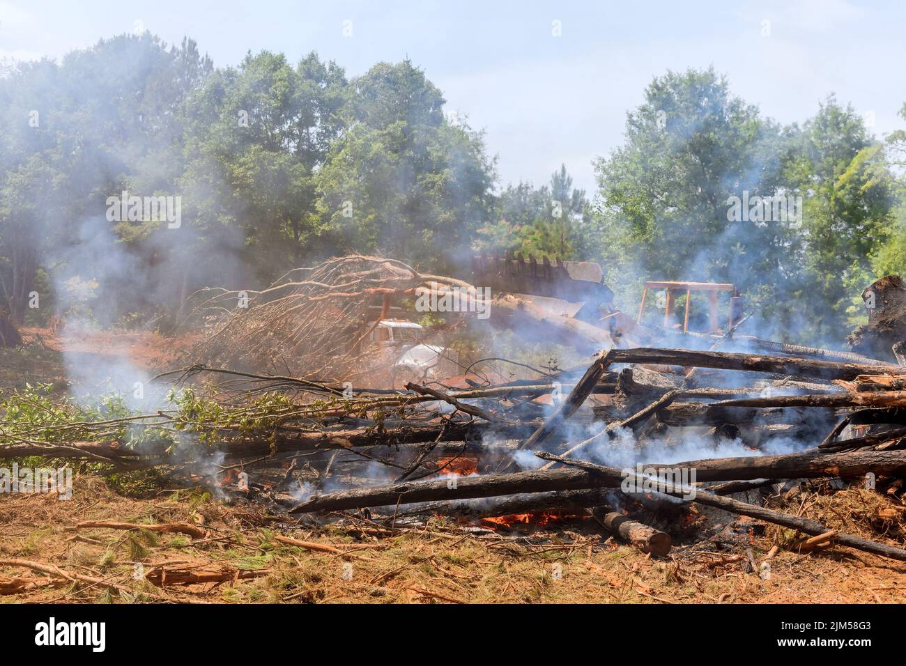 A forest is uprooted and burned as part of the process of developing ...