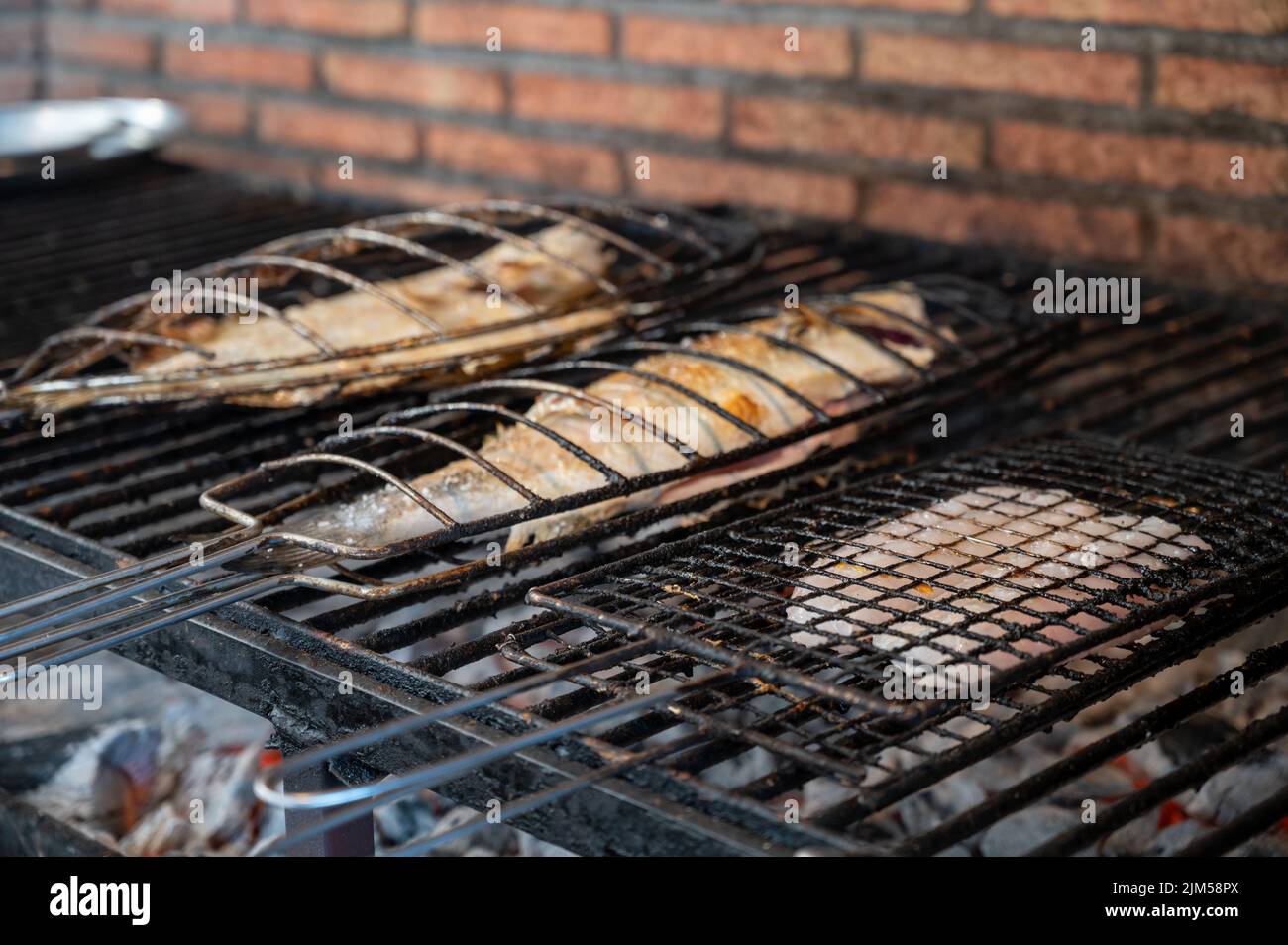 Fresh fish grilling on old charcoal parrillas white fish sea bass and ...