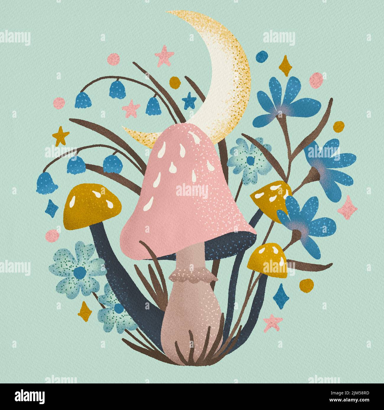 hand drawn illustration with forest mushroom flowers night moon. Mystic ...
