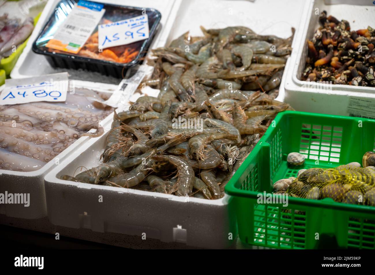 Assortment of fresh daily catch of fishes, seashells, molluscs on ice ...