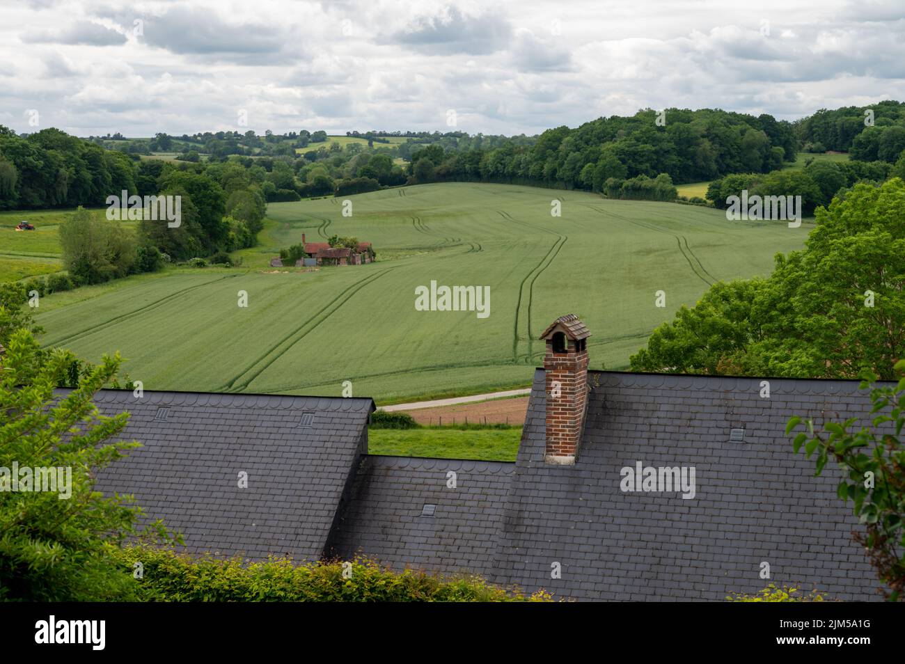 Summer landscape in Normandy, France. Green wheat grain fields on hills ...