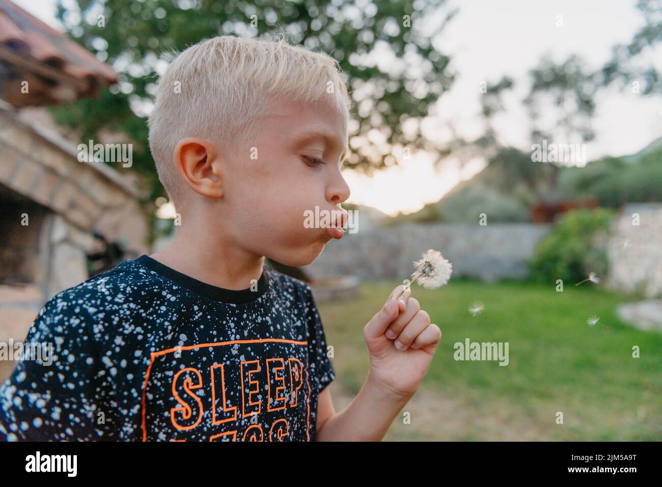 Beautiful little boy with long hair in the park blowing dandelion at ...