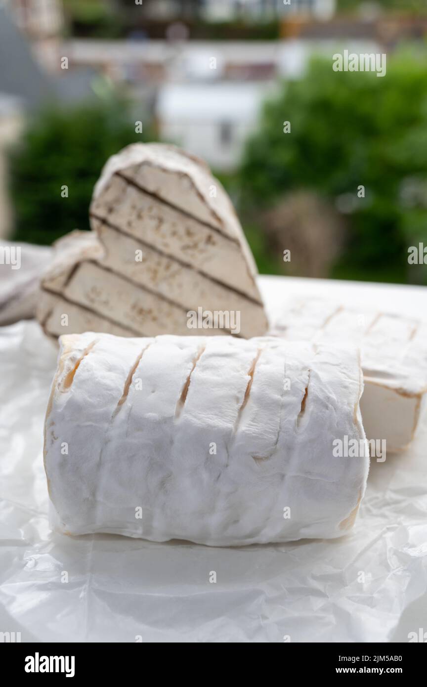 French cheeses heartshaped, squared and cylindrical neufchatel cow ...