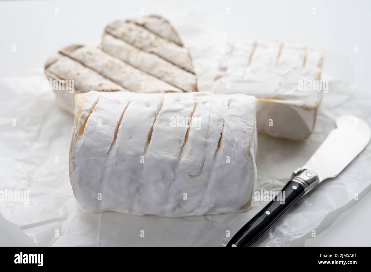 French cheeses heartshaped, squared and cylindrical neufchatel cow ...