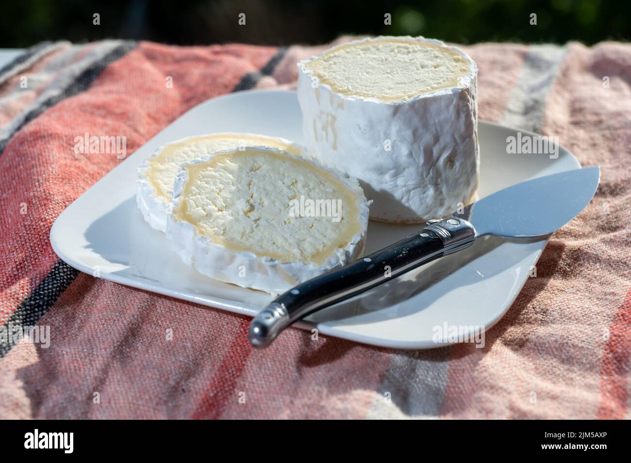 French cheeses, cylindrical neufchatel cow cheese with mold close up ...