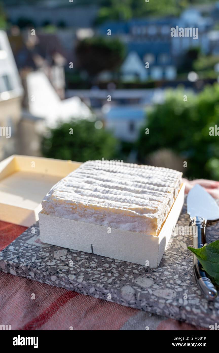French squared pont l'eveque cow cheese from Calvados department, close ...