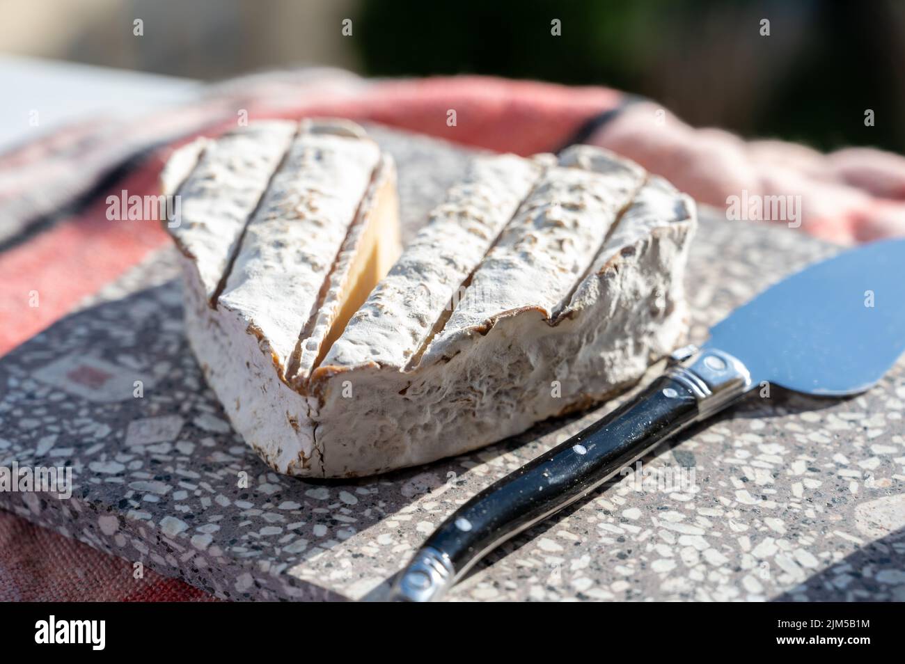 French heartshaped neufchatel cow cheese, close up, Neufchâtel-en-Bray ...