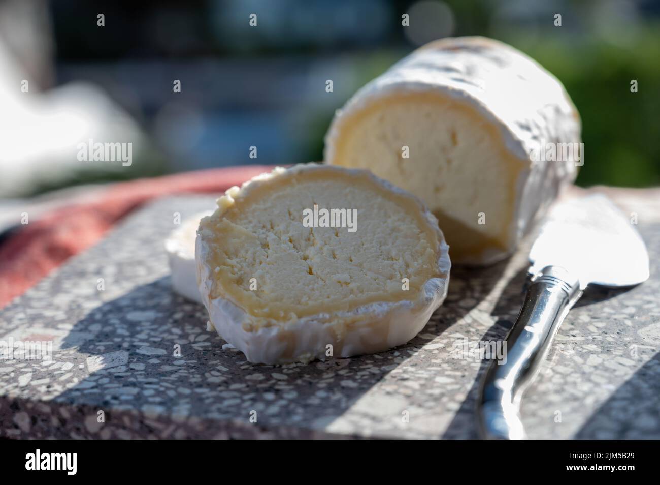 French cheeses, cylindrical neufchatel cow cheese with mold close up ...