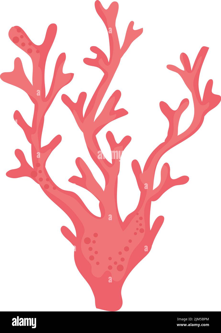 red seaweed sealife Stock Vector Image & Art - Alamy