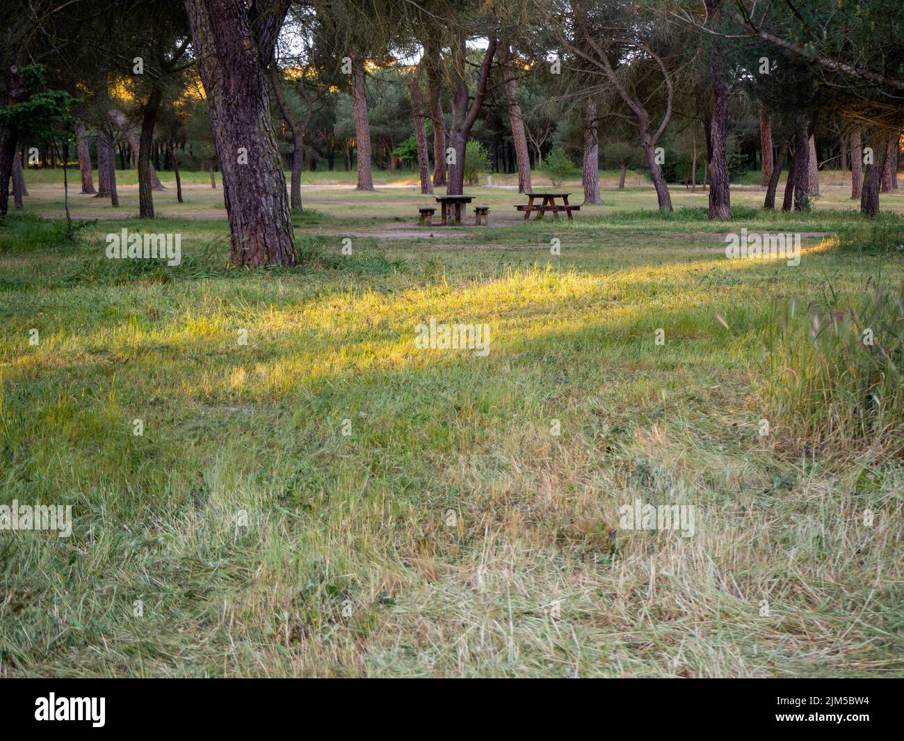 Sunny park picnic tables hi-res stock photography and images - Alamy
