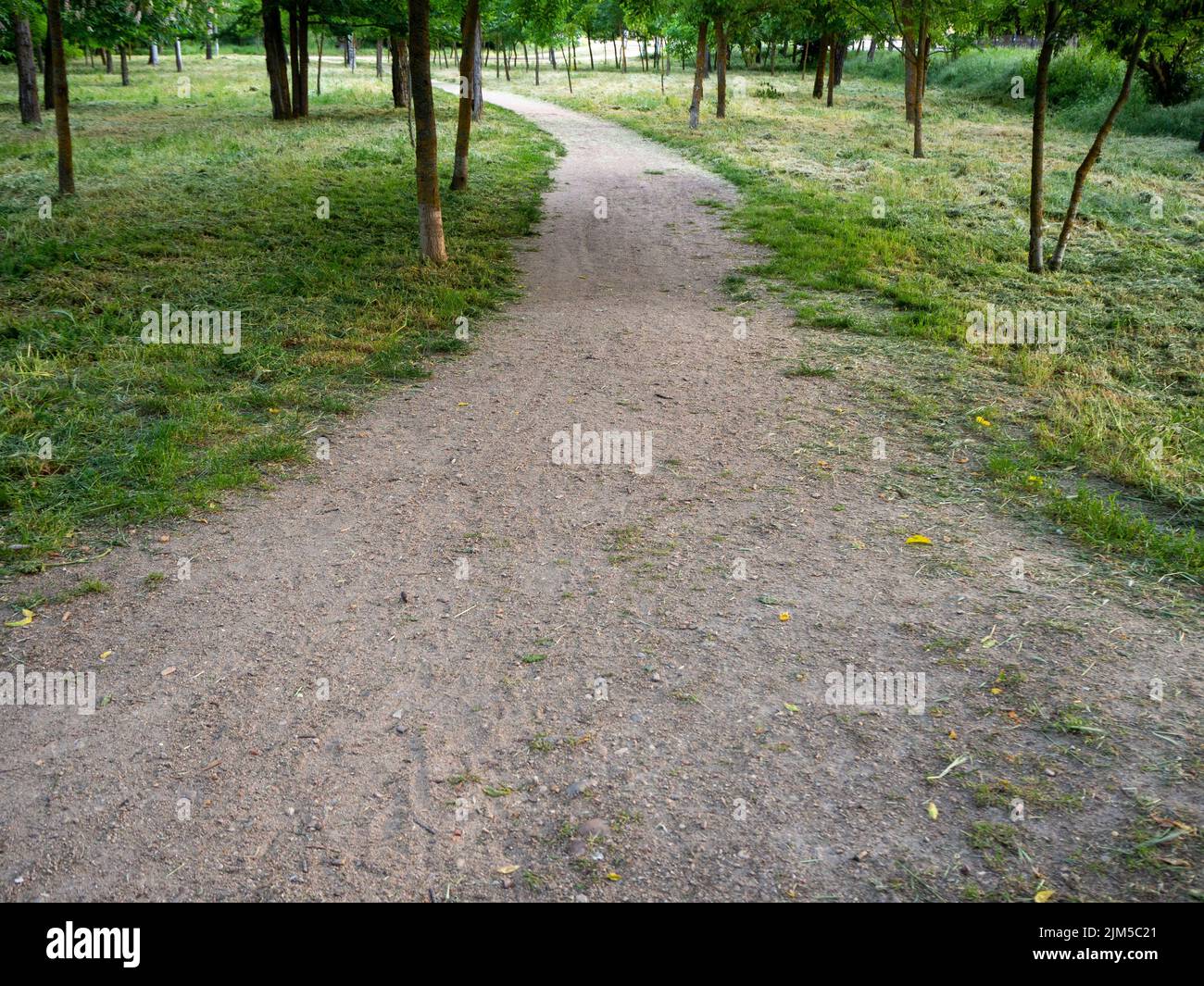 A walking turning trail through a green forest Stock Photo - Alamy