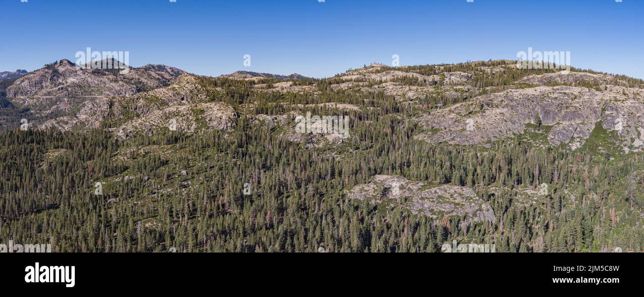 Pine tree forest and granite rock formations cover the summit in the ...