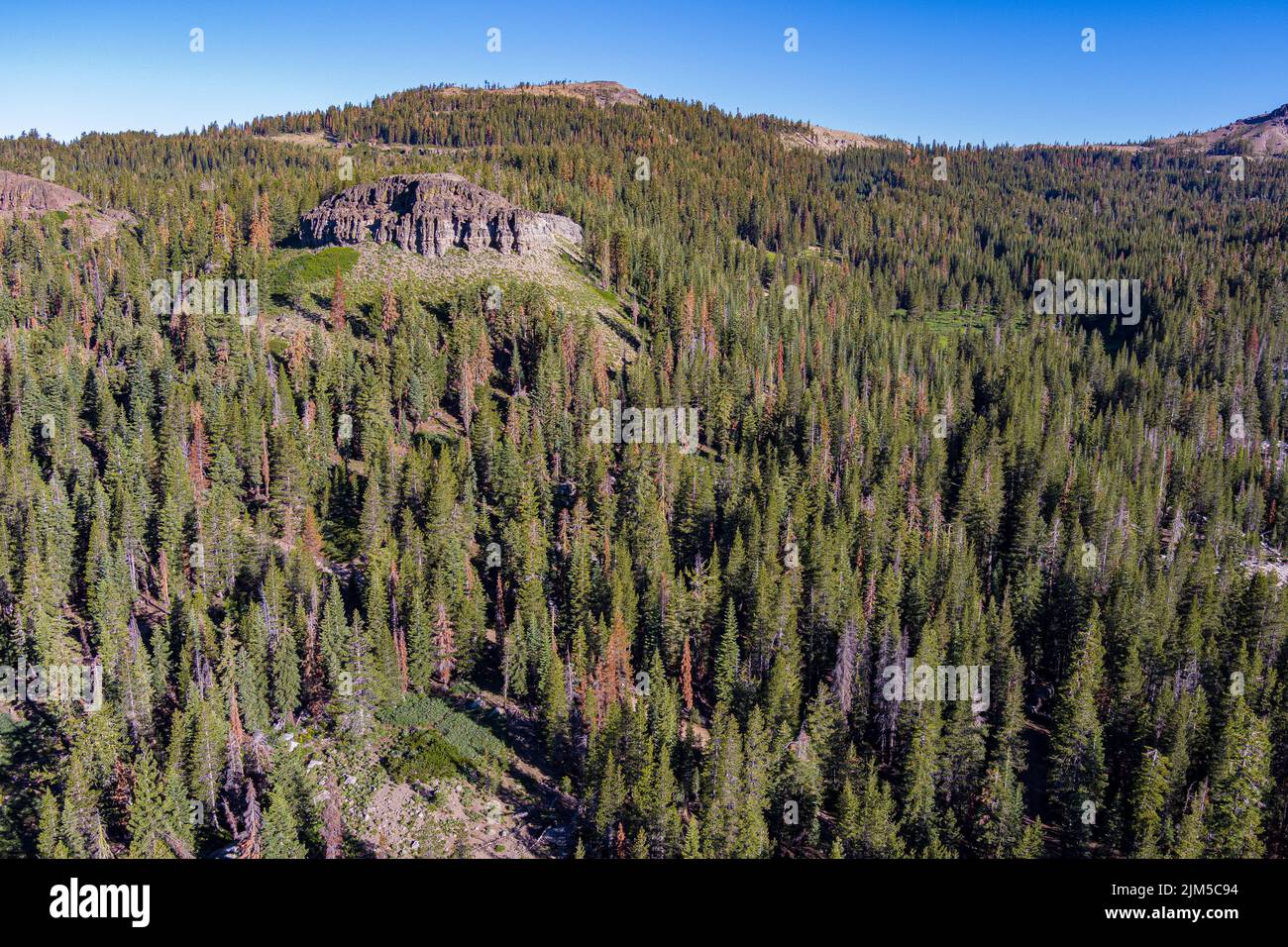 Footage high mountains pine forest hi-res stock photography and images ...