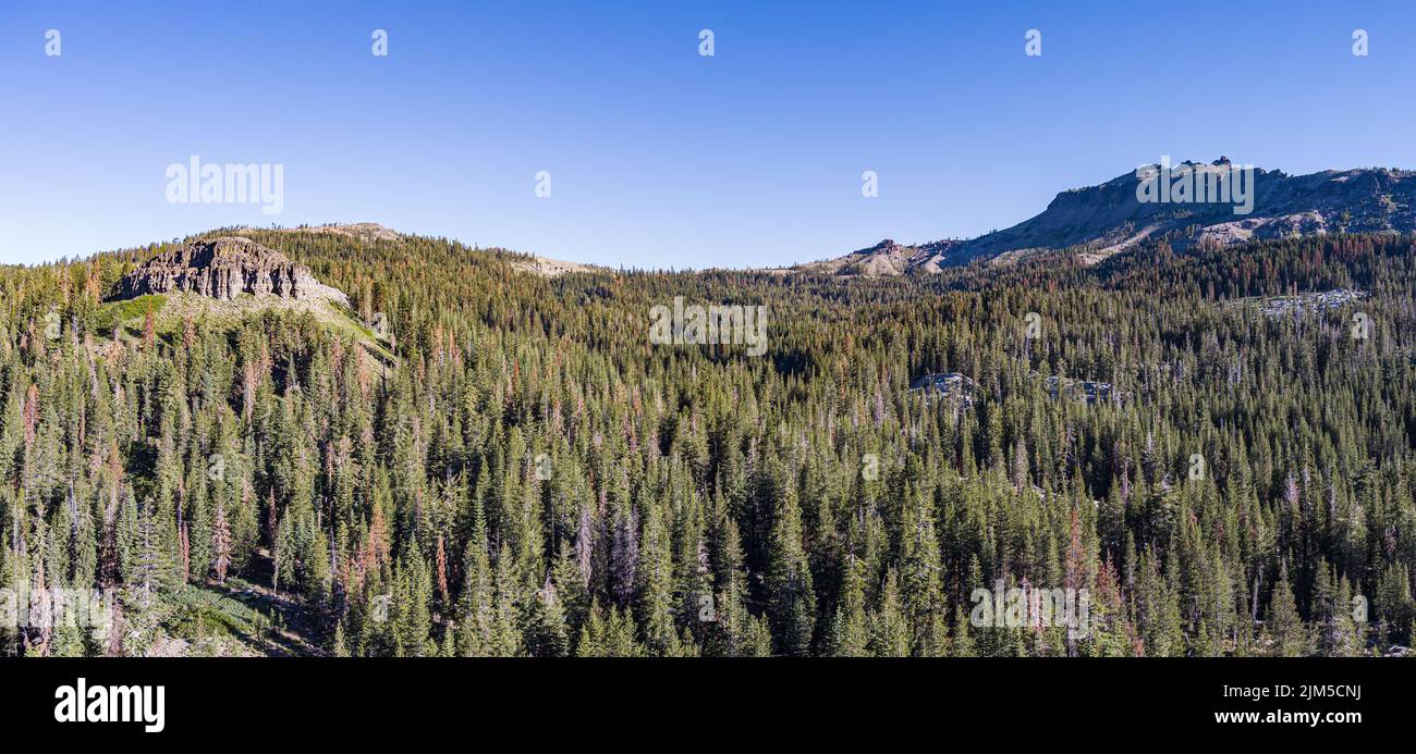 California forest in the Sierra Nevada mountains above Donner Pass ...