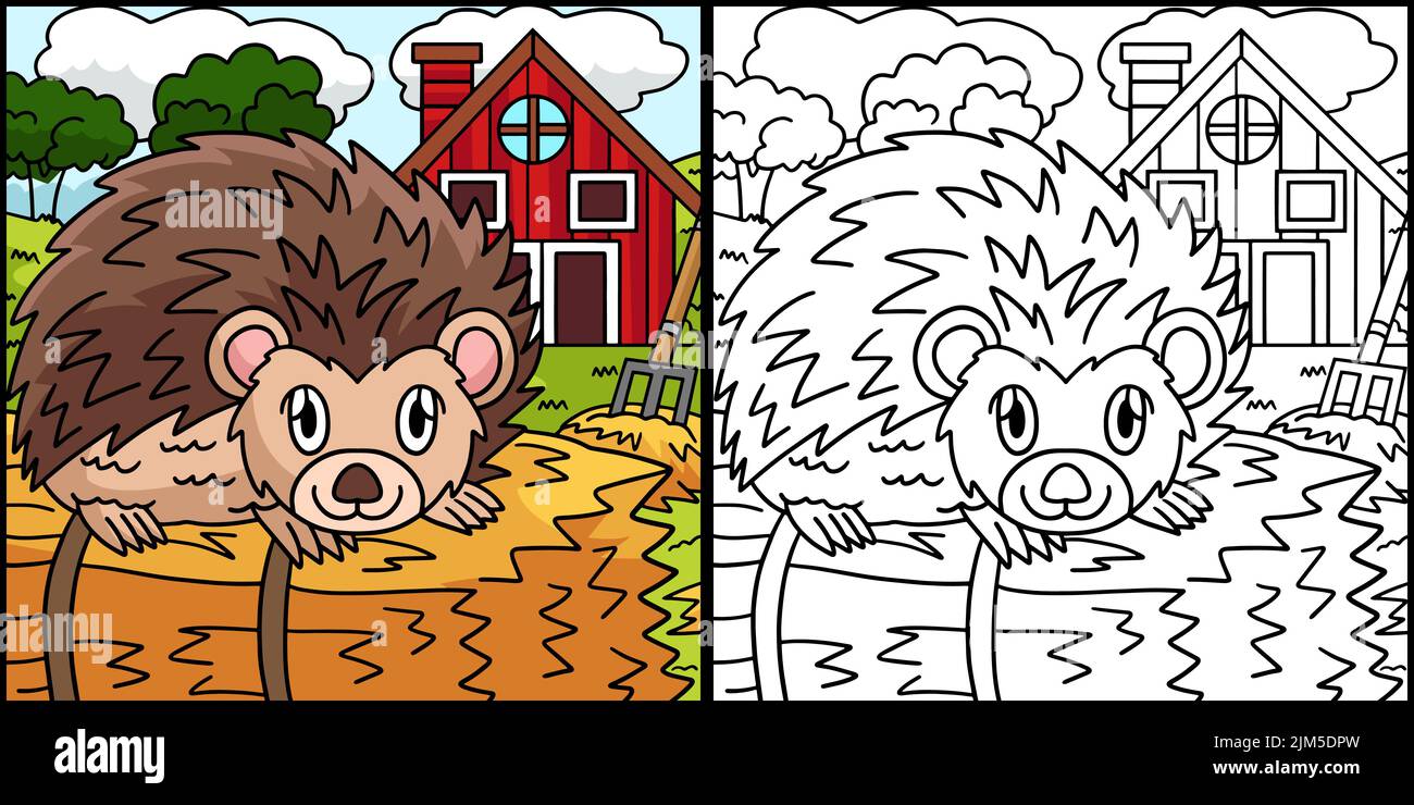 Hedgehog Coloring Page Colored