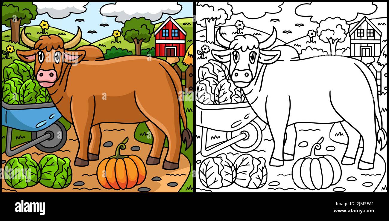 Ox Animal Coloring Page Colored Illustration Stock Vector Image & Art ...