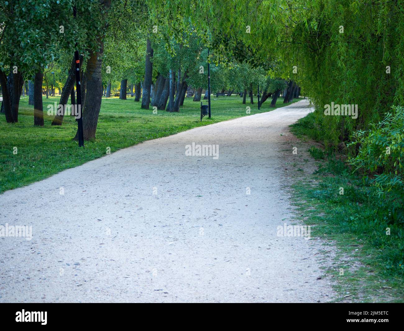 A beautiful shot of an empty unpaved road in a park with green leaved ...
